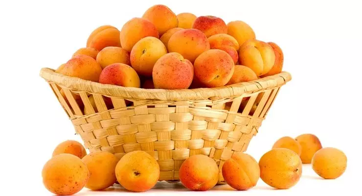 Apricot oil: application and reviews