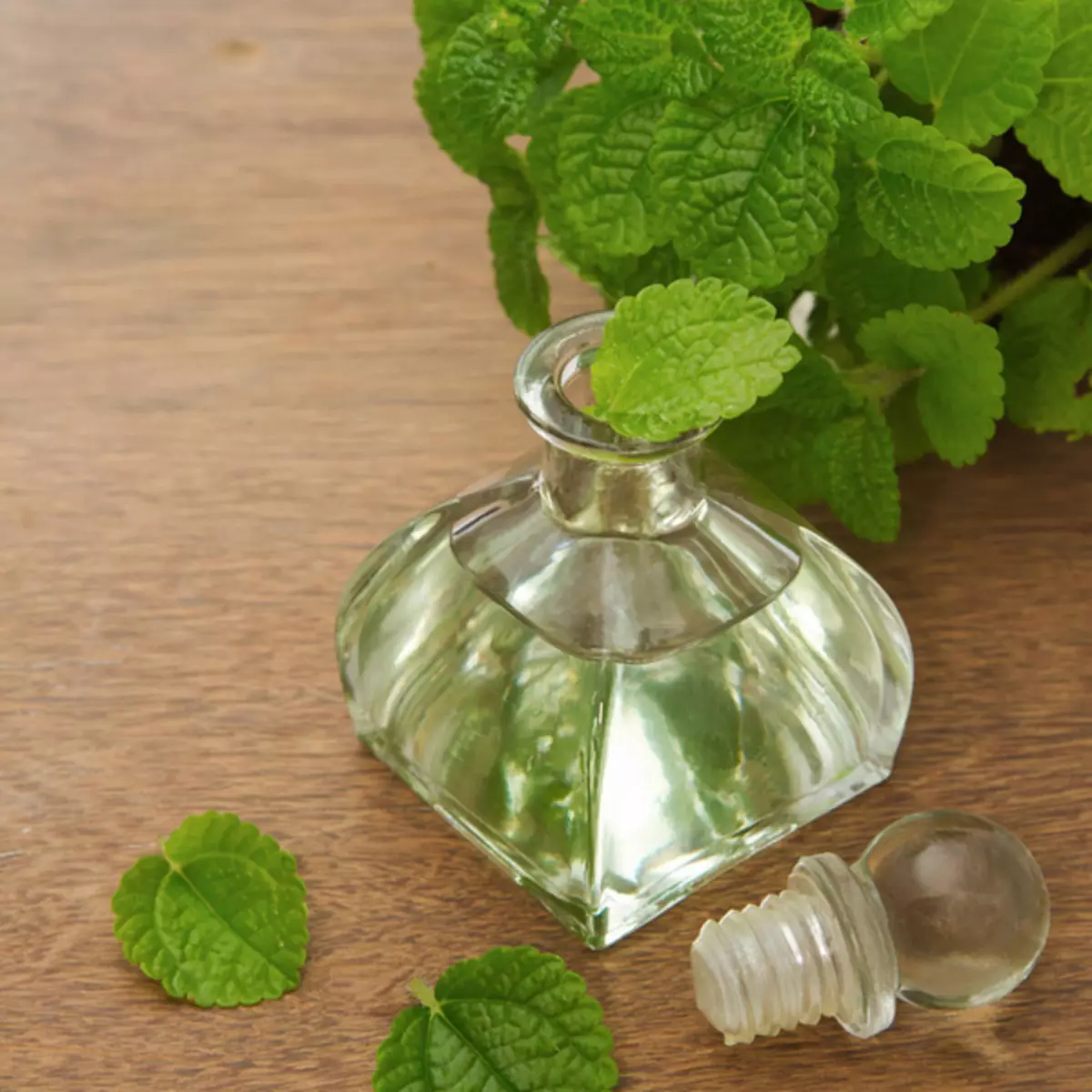 Essential Oil Patchouli: Användbara egenskaper och applikation