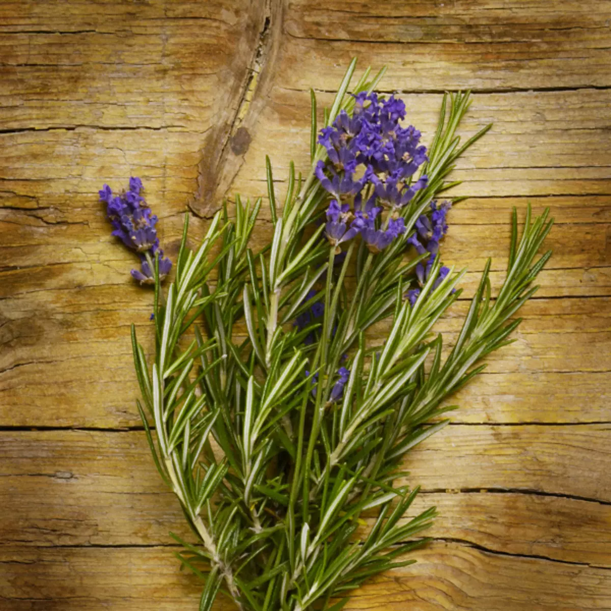 Rosemary Oil for Face: Mask oppskrifter