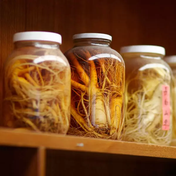 Ginseng: सौंदर्य प्रसाधन में आवेदन। Ginseng मास्क व्यंजनों