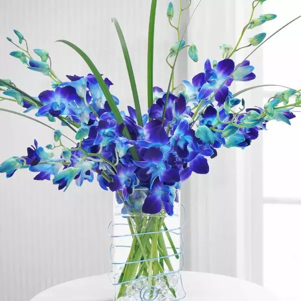 Bouquet biru ing meja pesta