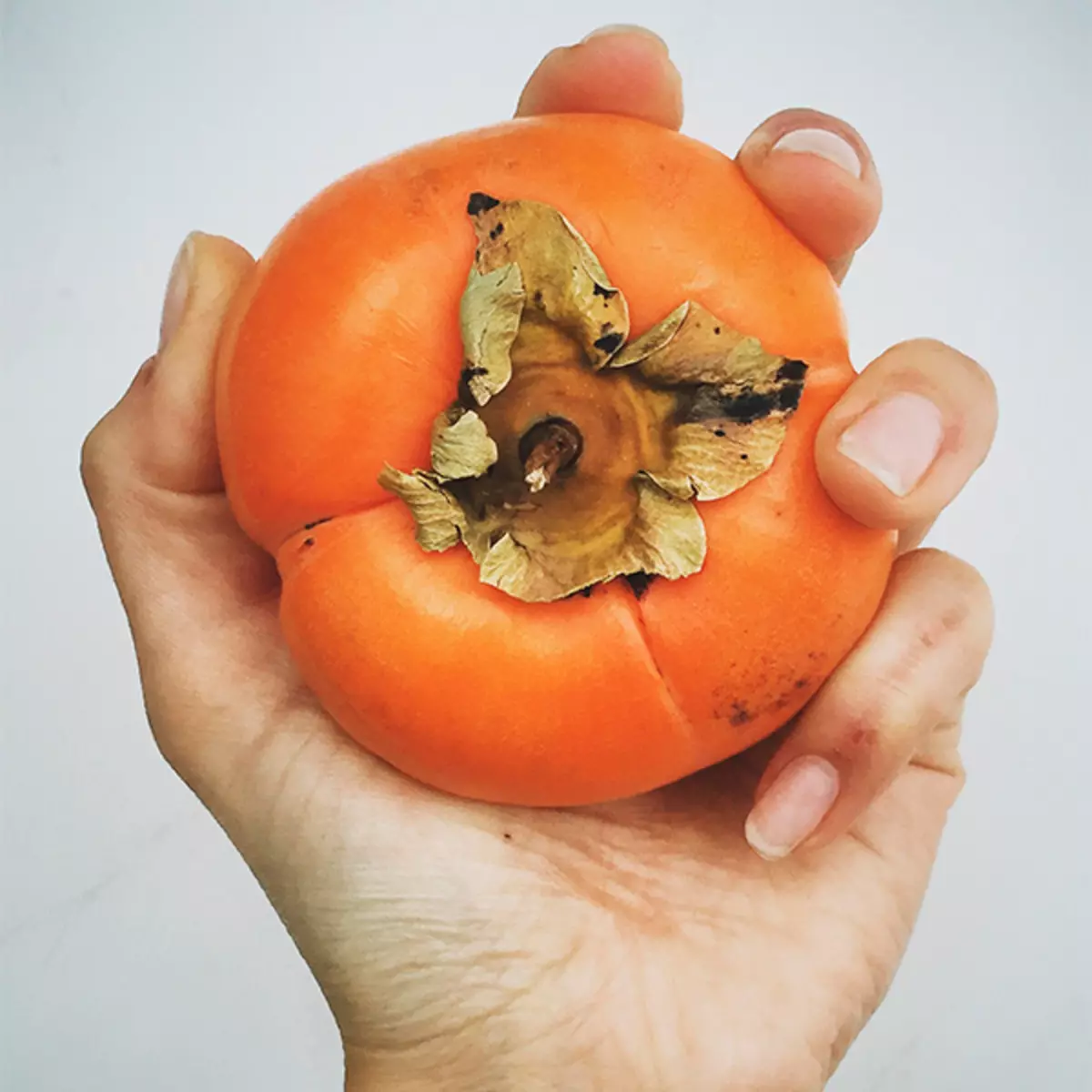 Persimmon.