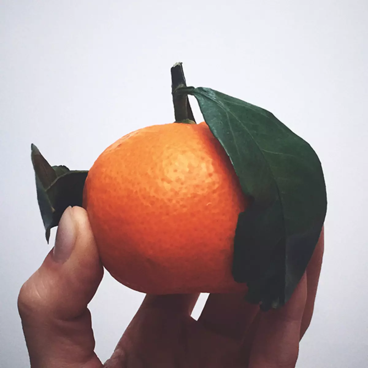 Mandarins