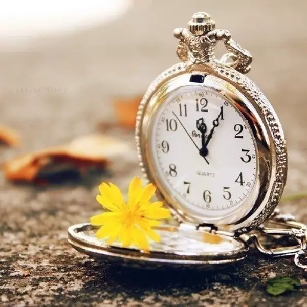 Pocket Watch di Bumi