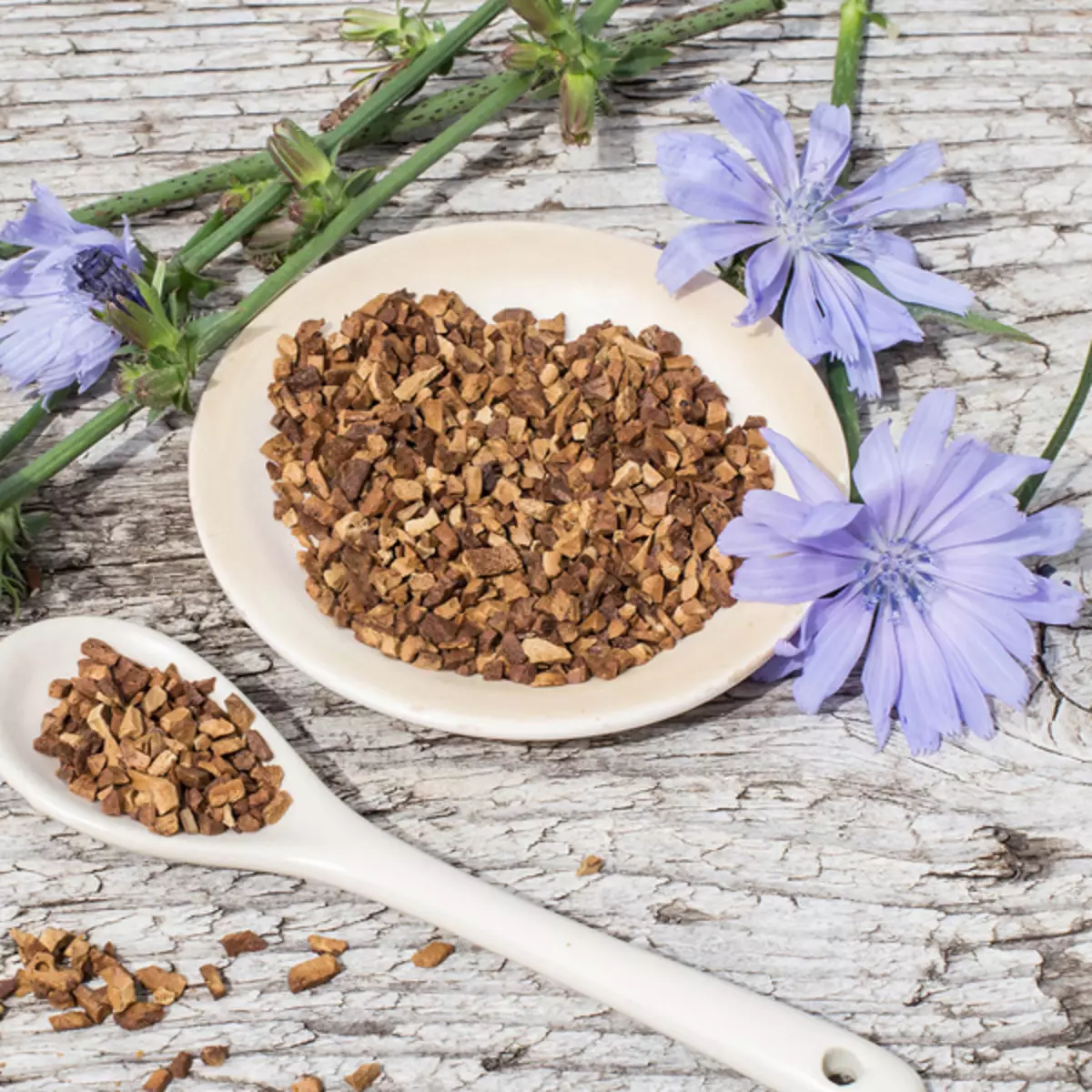 Useful properties of chicory