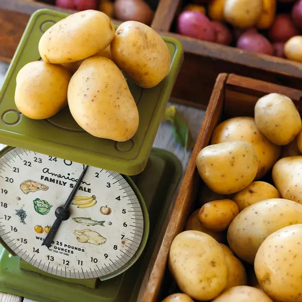 Vilken potatis användbar