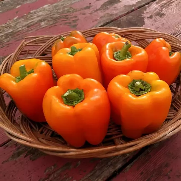 Ang mga Kaayohan sa Pepper sa Bulgaria