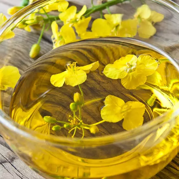 Sino ang kontraindikado sa Rapeseed Oil.