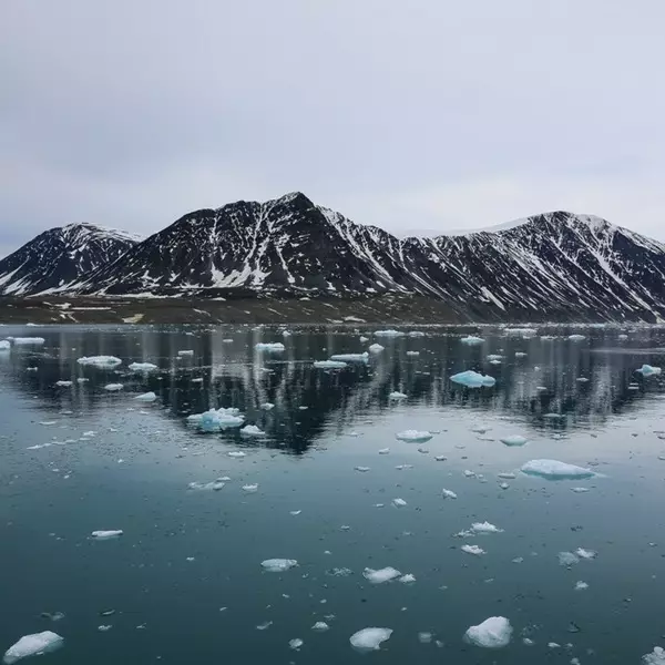 Nati nan rejyon an Arkhangelsk