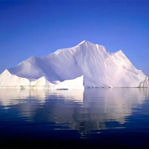 Виставка фотографа Галі Моррелл