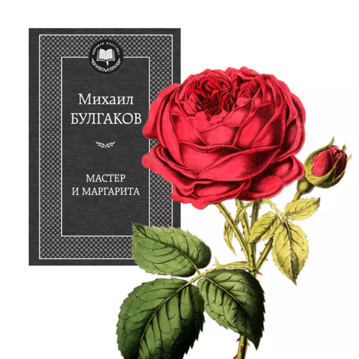 Flores nas obras dos escritores favoritos